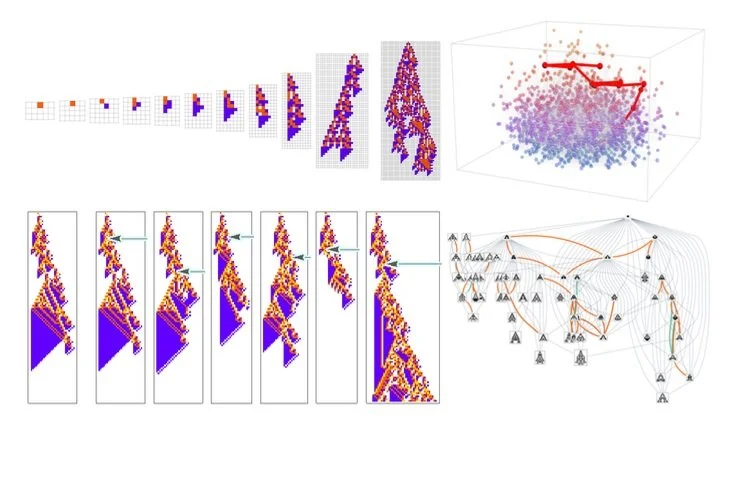 Biological Foundations — Wolfram Institute